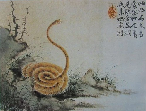 Changshe | Cryptid Wiki | Fandom