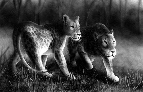 Marozi | CryptoWiki | Fandom