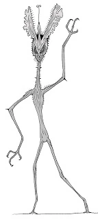 Veggieman | CryptoWiki | Fandom