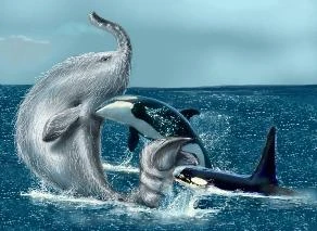 Sea Creature | Cryptid Wiki | Fandom