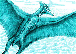 Thunderbird | Cryptid Wiki | Fandom