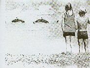 Cryptid Photographs | Cryptid Wiki | Fandom