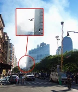 Cryptid Photographs | Cryptid Wiki | Fandom