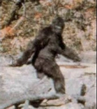 Bigfoot | Cryptid Wiki | Fandom