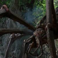 Jba Fofi | Cryptid Wiki | Fandom