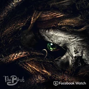 The Birch (series) | CryptTV Wiki | Fandom