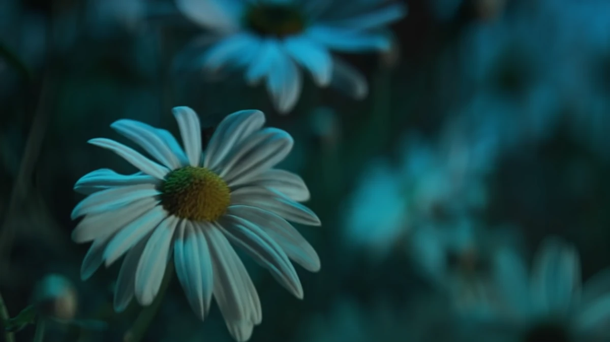 Terra (short film)/Gallery | CryptTV Wiki | Fandom