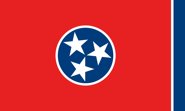 FLAGS OF THE CSA AND THE STATES | Confederate States Wikia | Fandom