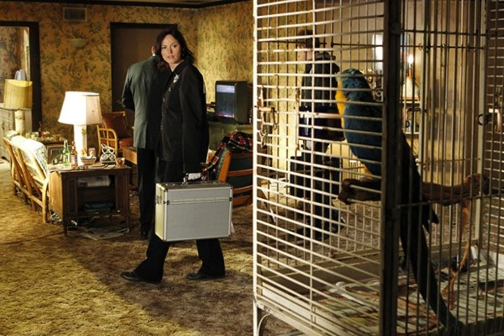 Wild Life | CSI Wiki | Fandom