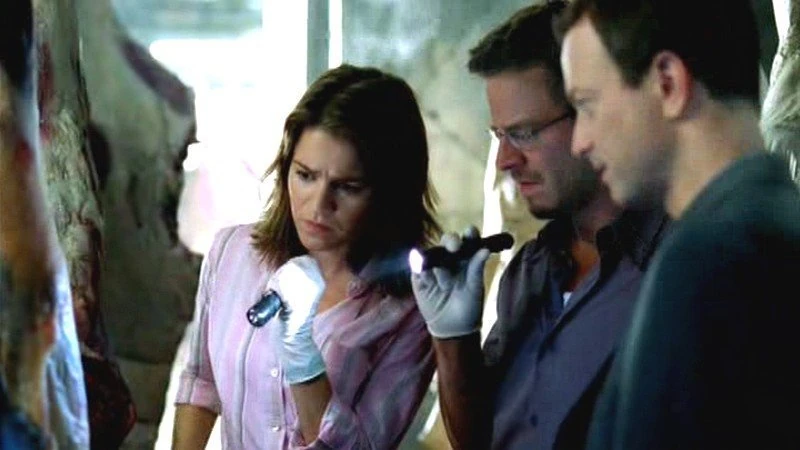 Zoo York | CSI Wiki | Fandom