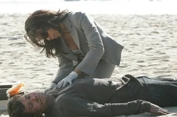 Throwing Heat | CSI | Fandom