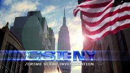 CSI:NY | CSI | Fandom
