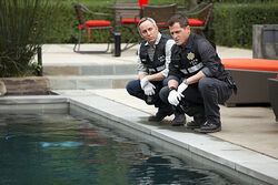 Hitting for the Cycle | CSI | Fandom