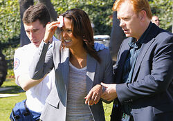 About Face | CSI | Fandom