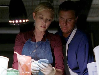 Who Are You? | CSI | Fandom
