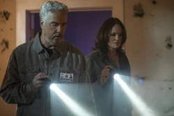 Let the Chips Fall | CSI | Fandom