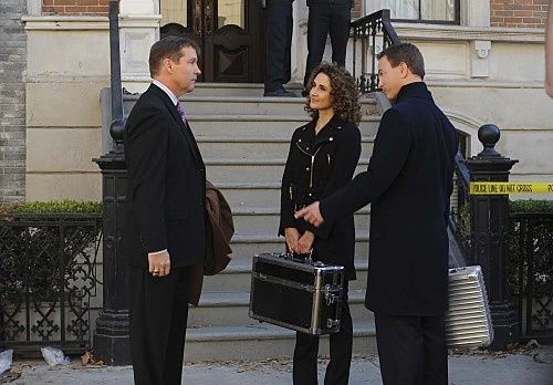 Criminal Justice | CSI | Fandom