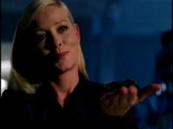 Teri Miller | CSI wiki | Fandom