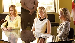 The Selby Triplets | CSI | Fandom