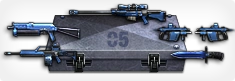 Refined Weapon Selection Box | Counter Strike Online Wiki | Fandom