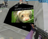 Office | Counter Strike Online Wiki | Fandom