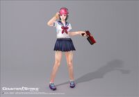 Erika | Counter Strike Online Wiki | Fandom