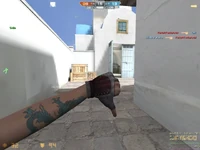 Character Emotion | Counter Strike Online Wiki | Fandom