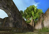 Big Tree | Counter Strike Online - Vietnam Wiki | Fandom