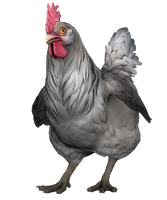 Chicken/Gallery | Counter-Strike Wiki | Fandom