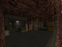 Prodigy/Gallery | Counter-Strike Wiki | Fandom