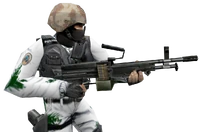 M249/Gallery | Counter-Strike Wiki | Fandom