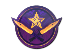 Operation Shattered Web Stickers | Counter-Strike Wiki | Fandom