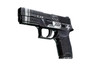Revolution Case Counter Strike Wiki Fandom