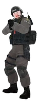 SWAT/Gallery | Counter-Strike Wiki | Fandom