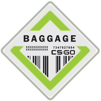 Baggage | Counter-Strike Wiki | Fandom