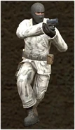 Arctic Avengers/Gallery | Counter-Strike Wiki | Fandom