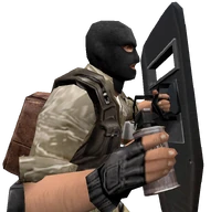 Flashbang/Gallery | Counter-Strike Wiki | Fandom