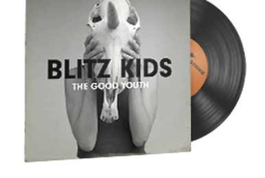 beartooth disgusting mvp