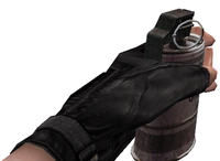 Flashbang/Gallery | Counter-Strike Wiki | Fandom