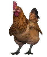 Chicken/Gallery | Counter-Strike Wiki | Fandom
