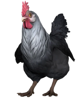 Chicken | Counter-Strike Wiki | Fandom