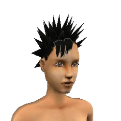Sims Hair Punk