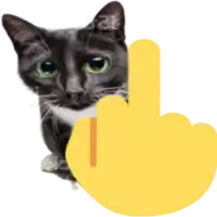 RaezelDaezel | CTA Wiki | Fandom