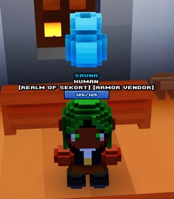 Armor Vendor - Cube World Wiki