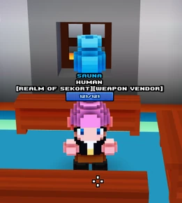 Weapon Vendor - Cube World Wiki