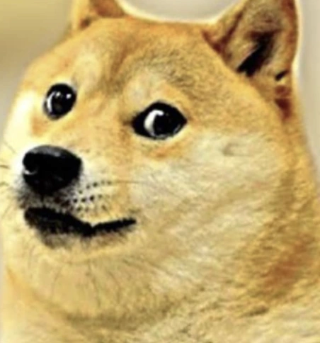 Doge | Cubeacube Wiki | Fandom