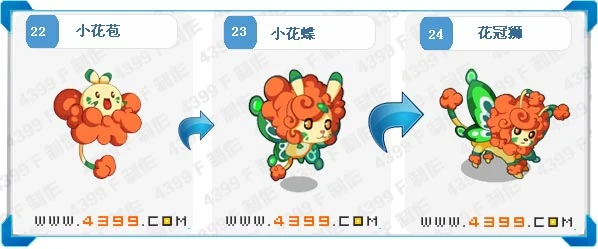 Budodo | CubeCub (Pet Fighting Square) Wiki | Fandom