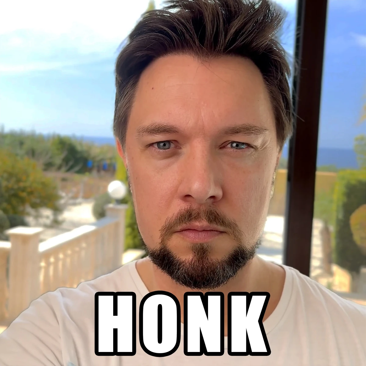 HONK | Cubewireframe Wiki | Fandom