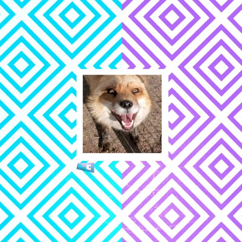 Category:Multiple BPM songs | Cubewireframe Wiki | Fandom