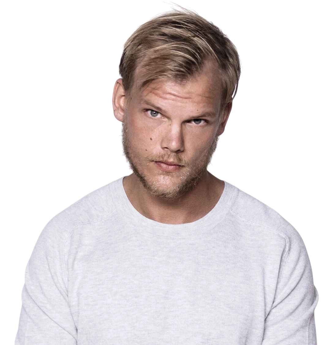 Avicii | Cubewireframe Wiki | Fandom